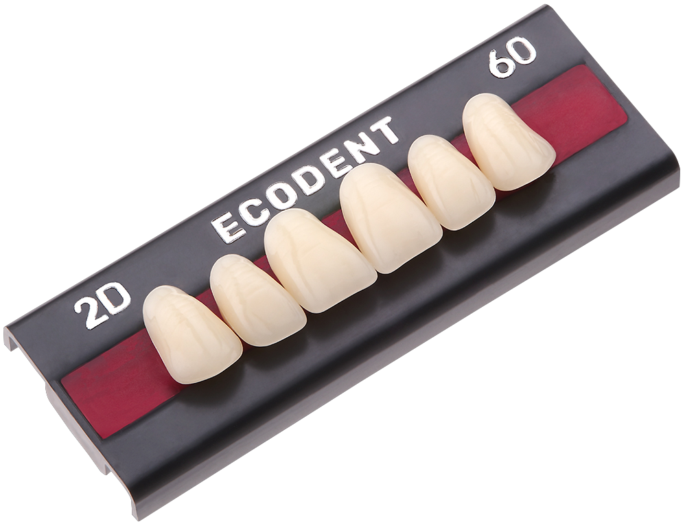 TABLILLA DE DIENTES ECODENT - COLOR: A1