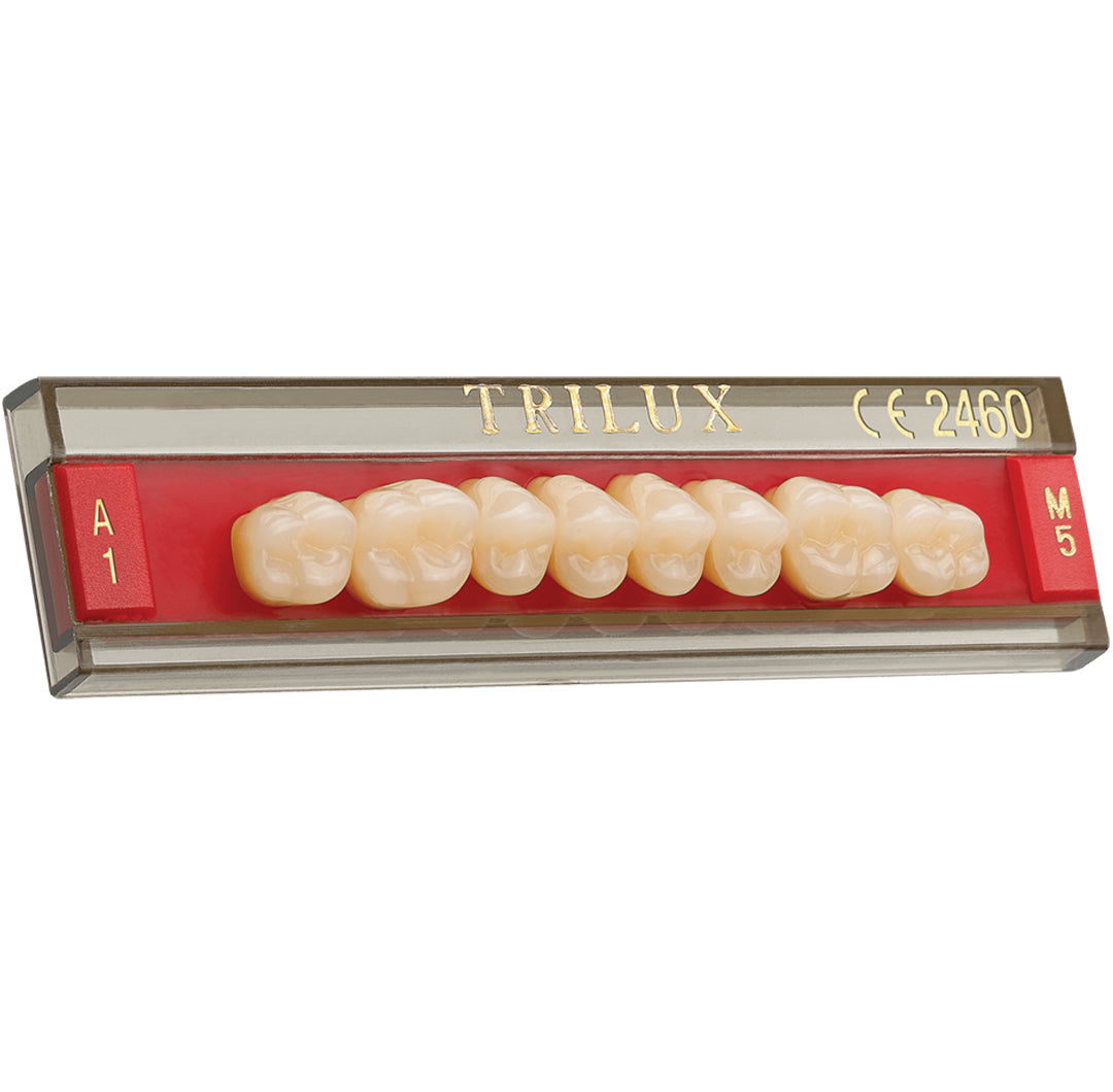TABLILLA DE DIENTES TRILUX V - COLOR: C2